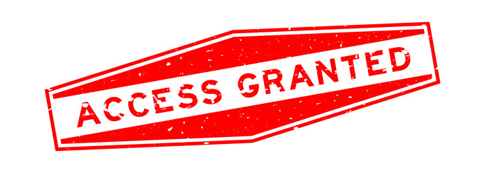 Grunge blue access granted word hexagon rubber Vector Image