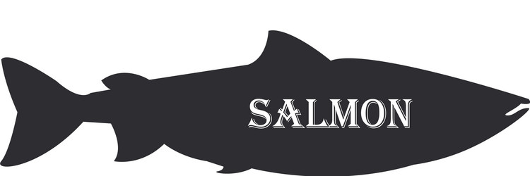 Salmon Jumping Coho Vector Images (63)