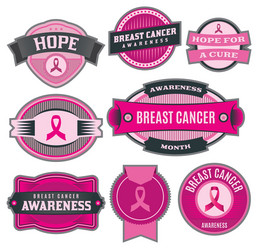 Breast cancer exam infographic oncology tumor Vector Image