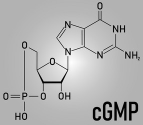 Cyclic guanosine monophosphate or cgmp molecule Vector Image