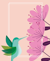 Hummingbird Border Vector Images (over 140)