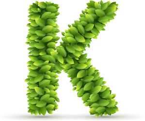 Letter of green leaves with shadow Royalty Free Vector Image