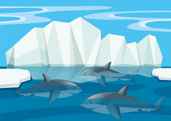 Winter Shark Vector Images (over 100)