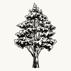 Wind and tree Royalty Free Vector Image - VectorStock