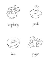Hand draw frutis Royalty Free Vector Image - VectorStock