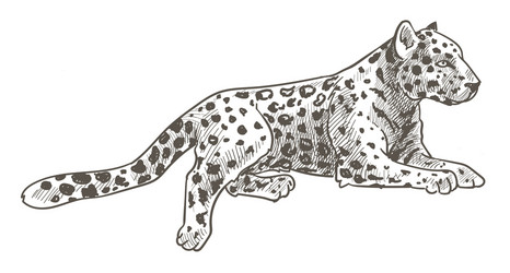 Cheetah Outline Vector Images (over 1,100)