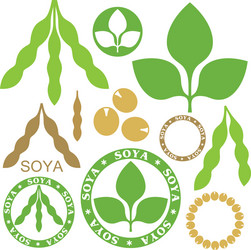 Realistic soybean frame Royalty Free Vector Image