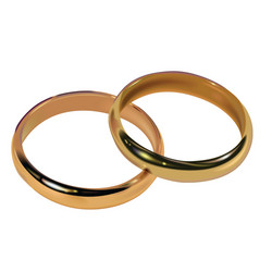 Pair of wedding rings Royalty Free Vector Image