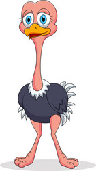 Cute ostrich cartoon on white background Vector Image