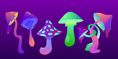 Trippy hallucinogen mushrooms psychedelic Vector Image