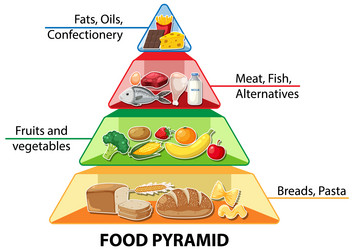 Cartoon food pyramid nutrition infographic Vector Image
