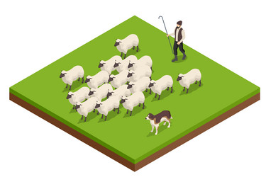 Herd of sheep Royalty Free Vector Image - VectorStock