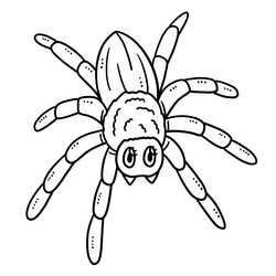 Mother spider and baby spider coloring page Vector Image