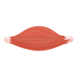 Flex muscle body icon cartoon strong arm Vector Image