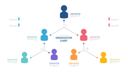 Organization chart infographic template Royalty Free Vector
