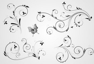 Swirls floral designs Royalty Free Vector Image