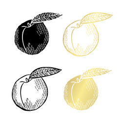 Hand drawn golden fruits set Royalty Free Vector Image