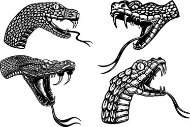 Snake Cartoon Head Vector Images (over 2,200)