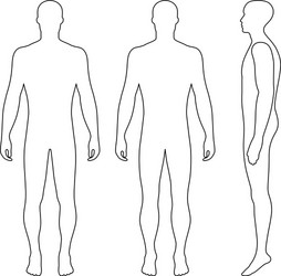 Male figure template fashion croquis Royalty Free Vector