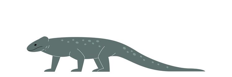 Monitor Lizard Vector Images (over 260)