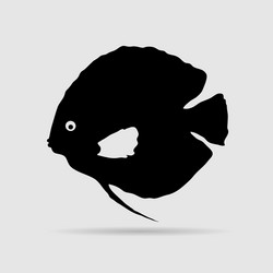 Discus Fish Vector Images (over 550)