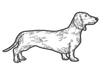 Dog Scratch Vector Images (over 1,800)