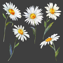 Retro Daisy Vector Images (over 19,000)