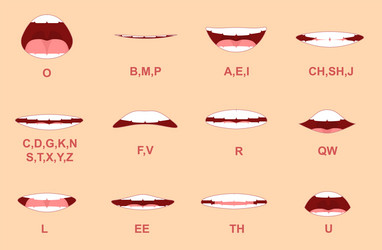 Different Types Of Mouth Shapes