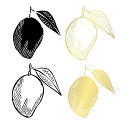 Hand drawn golden fruits set Royalty Free Vector Image