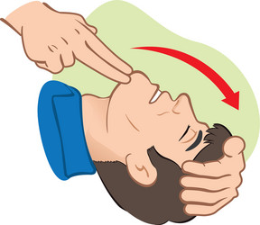 Cardiopulmonary resuscitation cpr emergency aid Vector Image