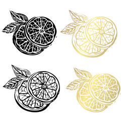 Hand drawn golden fruits set Royalty Free Vector Image