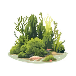 Aquarium Plants Clipart