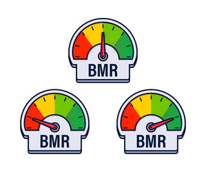 Basal metabolic rate bmr evaluation tool Vector Image