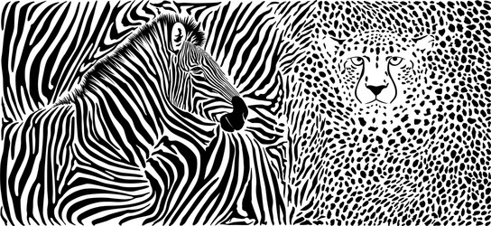 Background with zebra and giraffe Royalty Free Vector Image