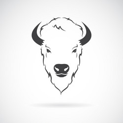 Bull design on white background wild animals Vector Image
