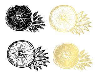 Hand drawn golden fruits set Royalty Free Vector Image