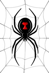 Spider black widow cobweb bats red Royalty Free Vector Image
