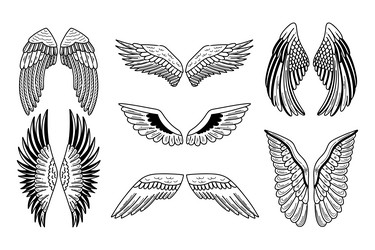 Falcon Doodle Vector Images (over 260)