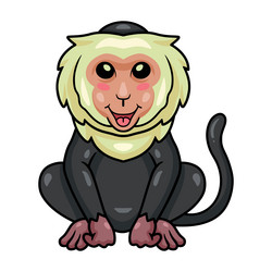 Cute little capuchin monkey cartoon Royalty Free Vector