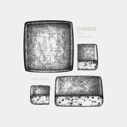 Cheese hand drawn food design element chee Vector Image