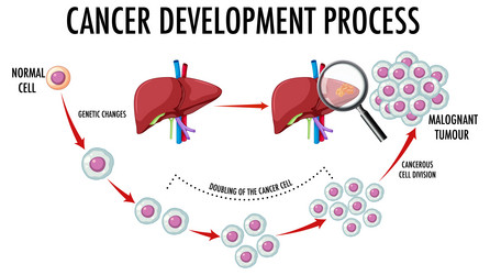 Cancer Cell Cartoon Vector Images (over 2,300)