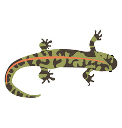 Skink Royalty Free Vector Image - VectorStock