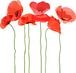 Poppies Vector Images (over 20,000)