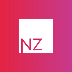 Creative initial letter nz square logo design Vector Image