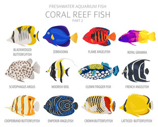 Coral reef fish freshwater aquarium icon set Vector Image