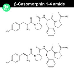 Beta casomorphin 1-4 chemical molecule Royalty Free Vector