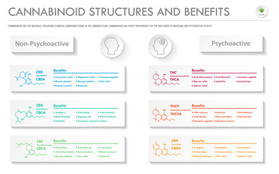 Structures Vector Images (over 830,000)