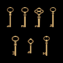 Set of gold keys Royalty Free Vector Image - VectorStock