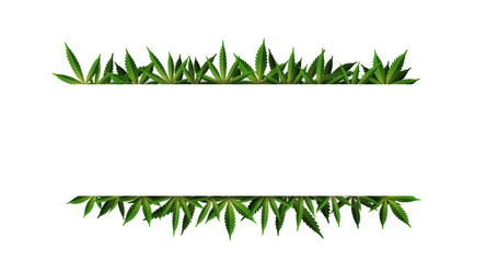 Marijuana Border Vector Images (over 1,900)