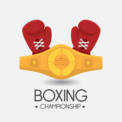Boxing equipment tools set box accessories Vector Image